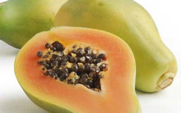 Fruits You Will Love — Melissas Produce
