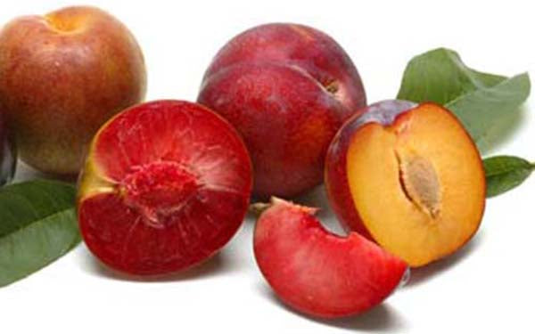 Melissa’s Summer Fruit Selection — Melissas Produce