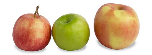 Ancient Roots, Modern Fruits: The Evolution of the Apple — Melissas Produce