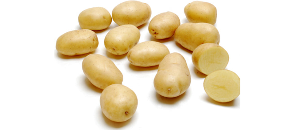 Organic Picks for February — Melissas Produce