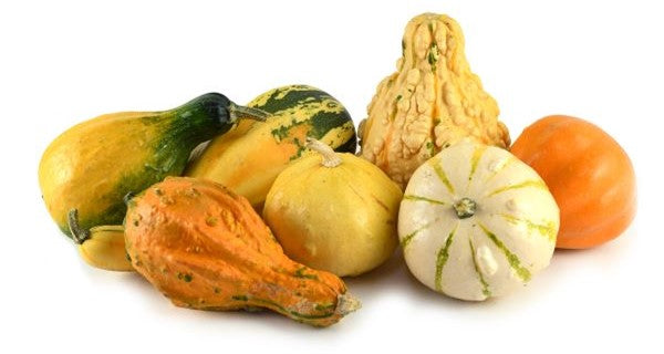 It Is Officially GOURD Season! — Melissas Produce