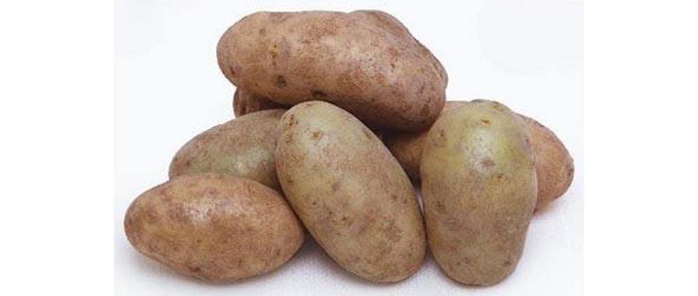 Produce Business 101: The Bill Gates of Agriculture — Melissas Produce