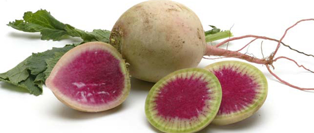 Veggies from the Garden to your Table — Melissas Produce