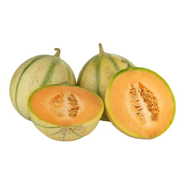 Charentais Melons — Melissas Produce