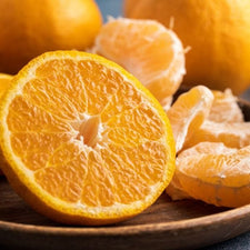 Dekopon Mandarins — Melissas Produce