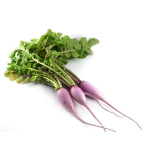 Purple Ninja Radish — Melissas Produce