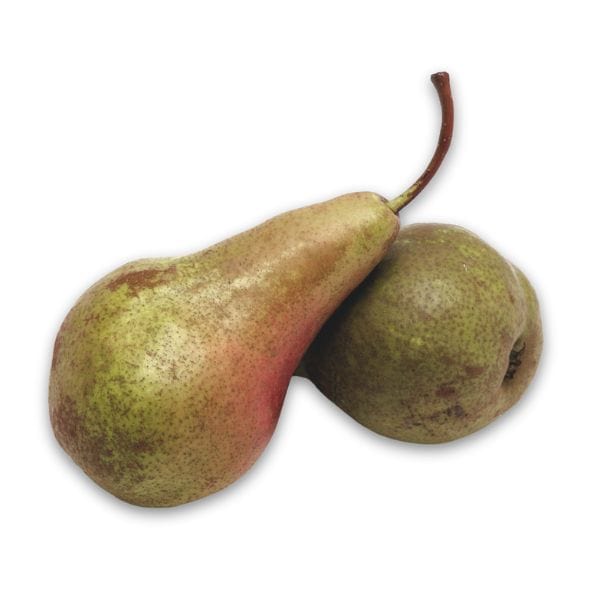 Bosc Pears — Melissas Produce