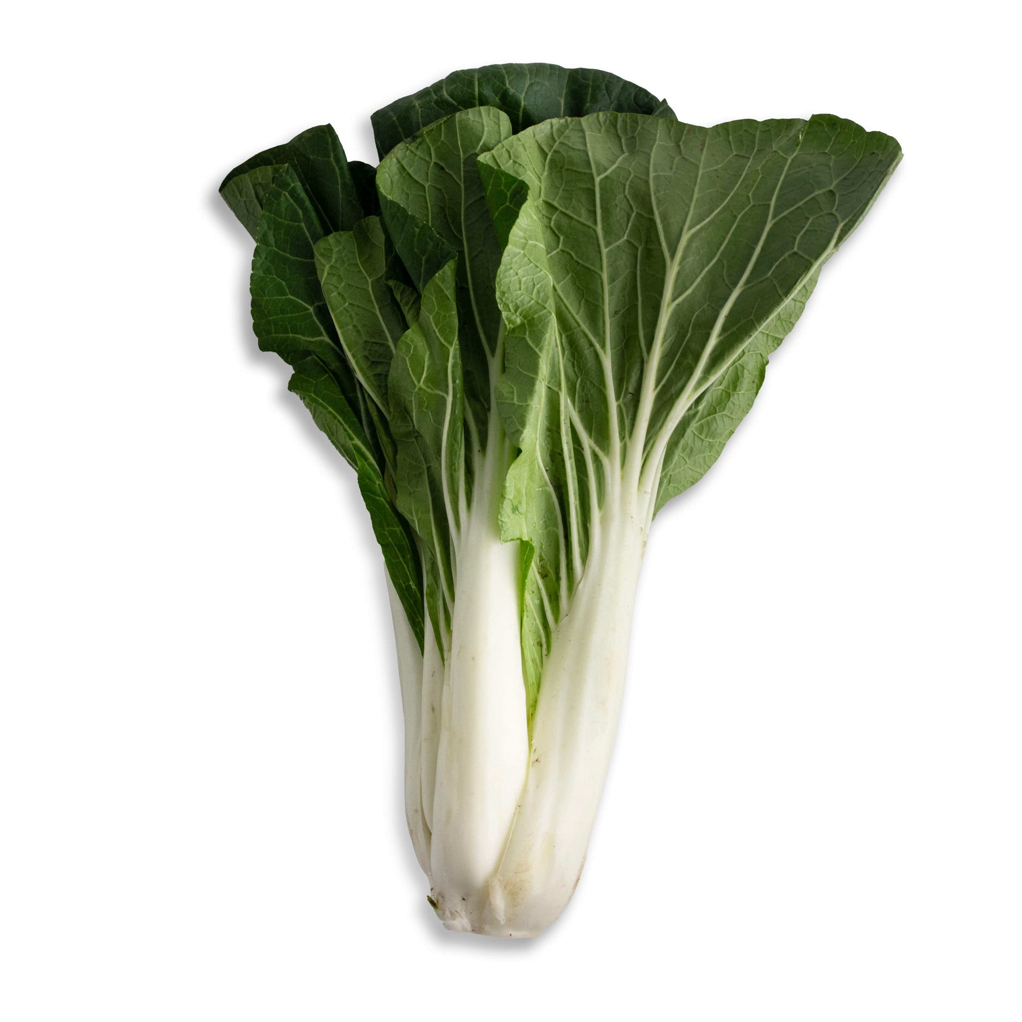 Lettuce & Greens — Melissas Produce