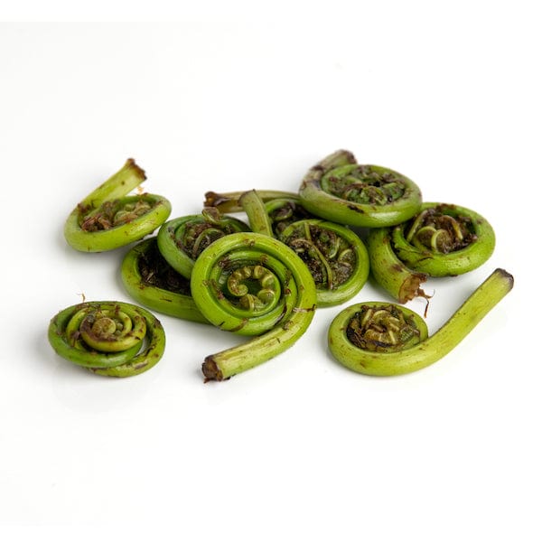 Fiddlehead Fern Hoio Warabi Pako Pohole — Melissas Produce