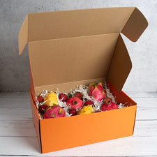 Freaky Fruit® Experience Kit — Melissas Produce