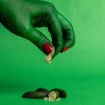 Freaky Fruit® Experience Kit — Melissas Produce