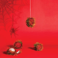 Freaky Fruit® Experience Kit — Melissas Produce