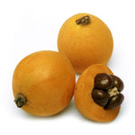 Loquats — Melissas Produce