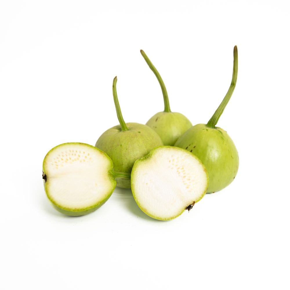 Opo Squash (Round) — Melissas Produce