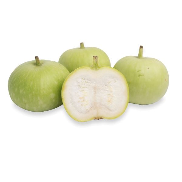 Opo Squash (Round) — Melissas Produce