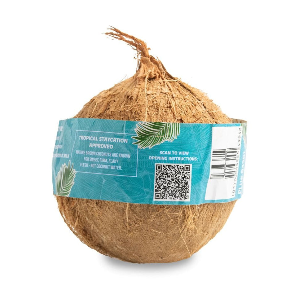 Organic Brown Coconuts — Melissas Produce