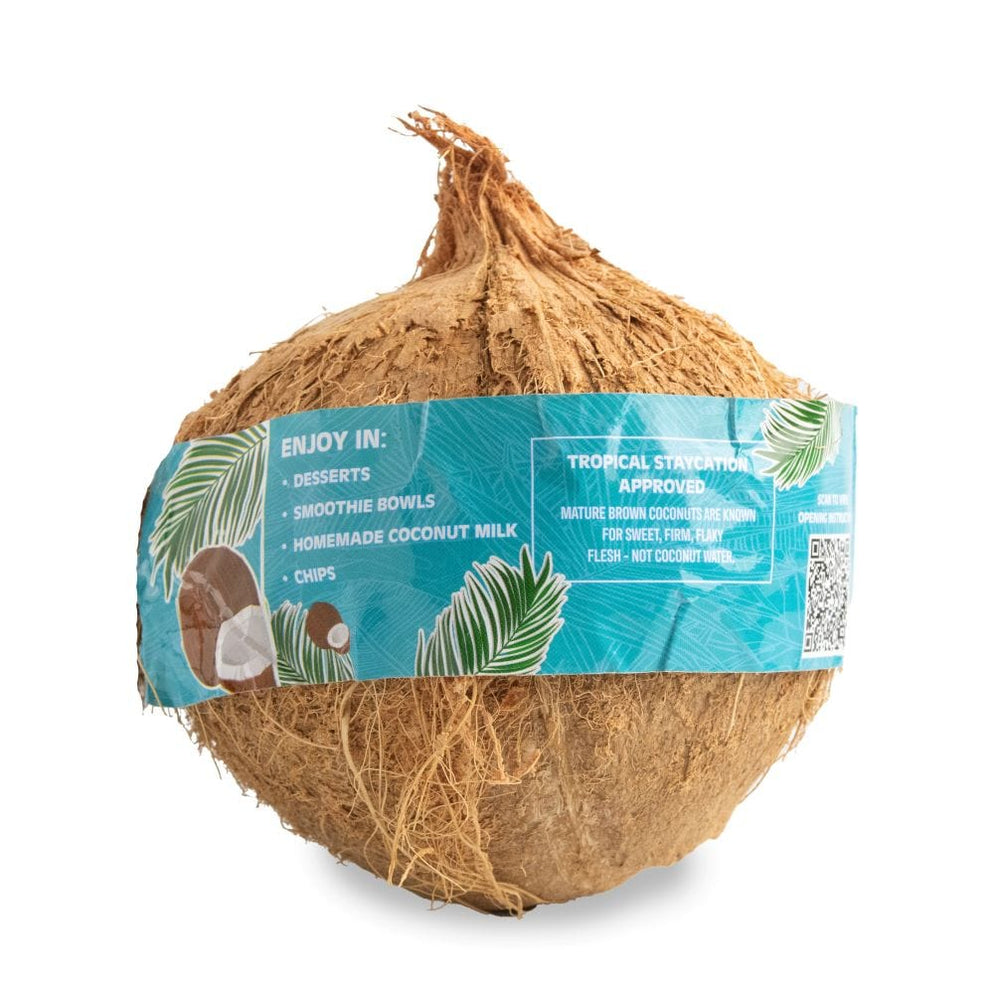 Organic Brown Coconuts — Melissas Produce