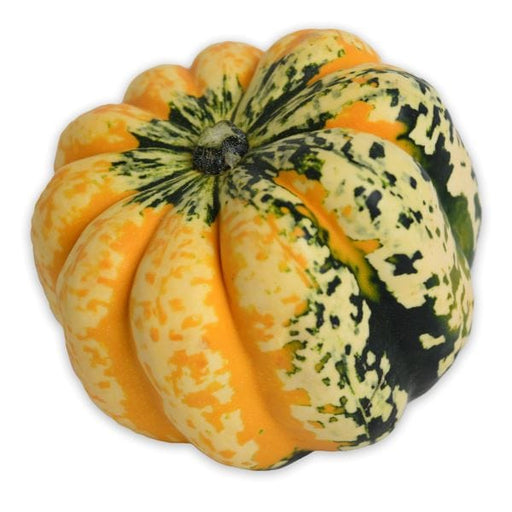 Squash — Melissas Produce