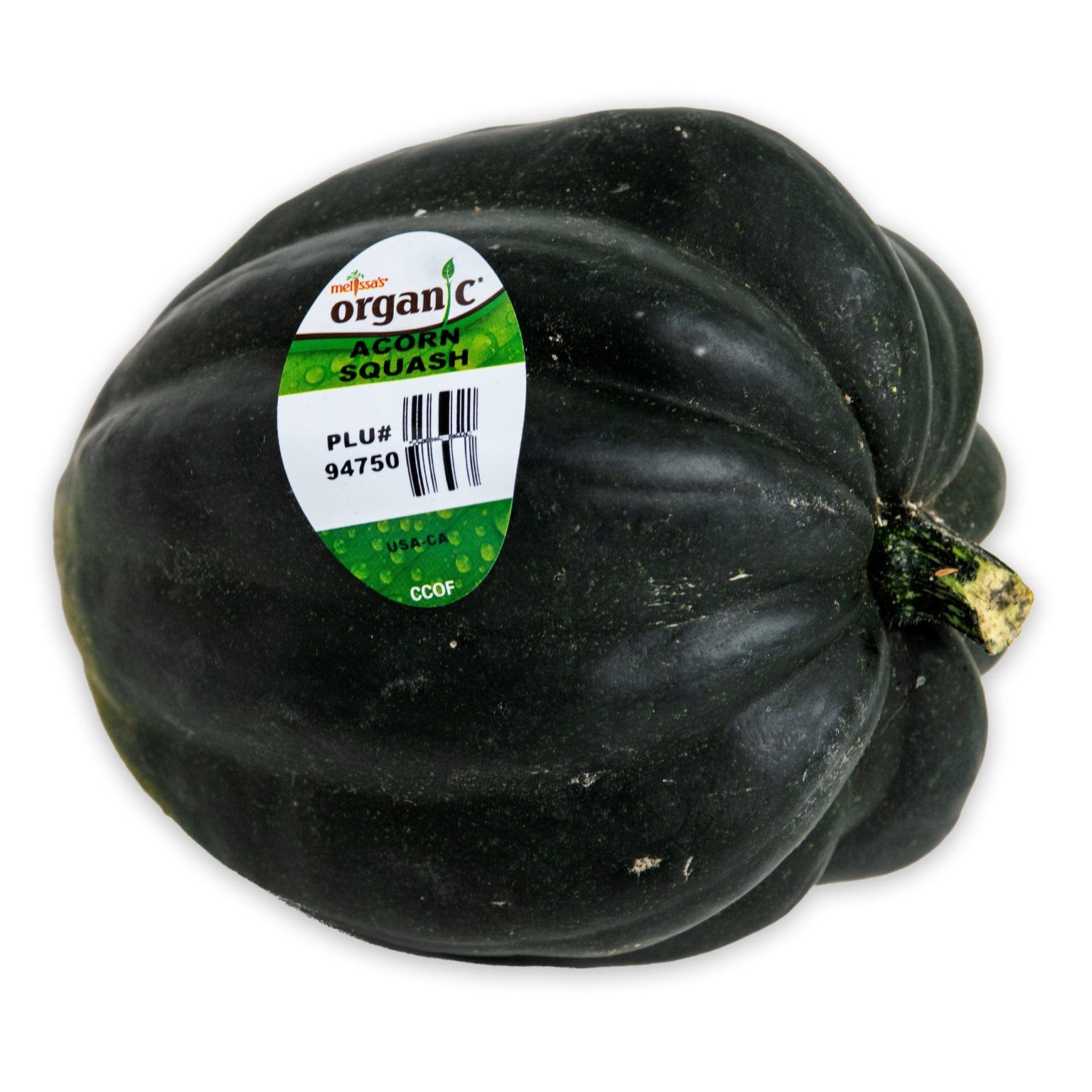 Squash — Melissas Produce