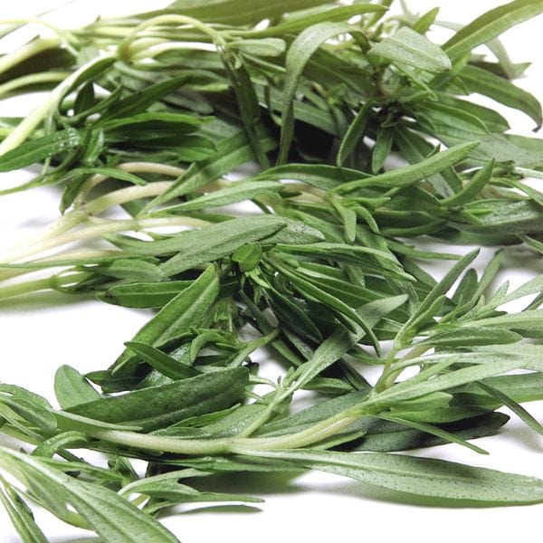 Savory — Melissas Produce