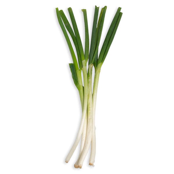 Tokyo Negi (Japanese Long Onion) — Melissas Produce