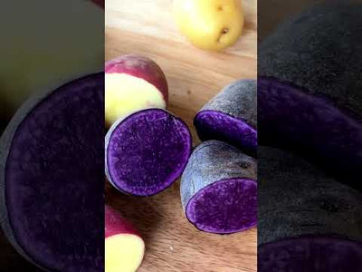 Gemstone Potatoes — Melissas Produce