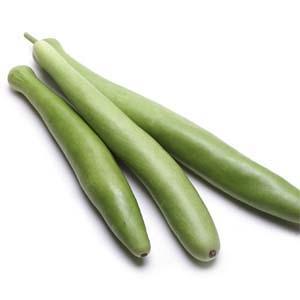 Cucuzza Squash — Melissas Produce