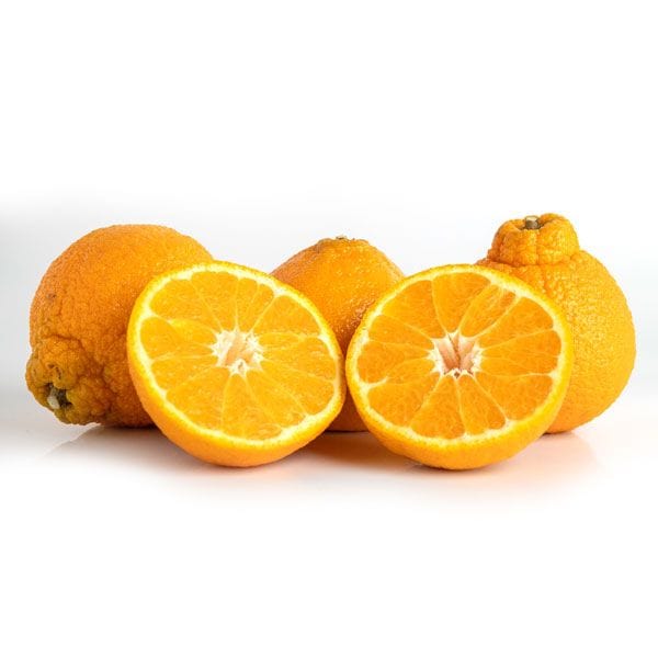 Dekopon Mandarins — Melissas Produce