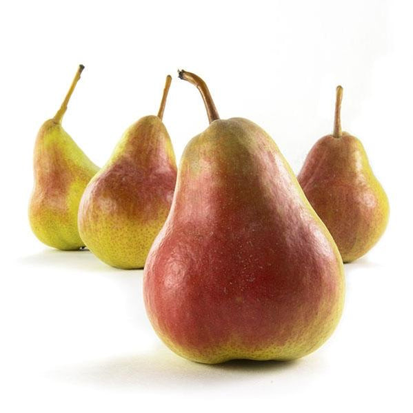 Pears — Melissas Produce