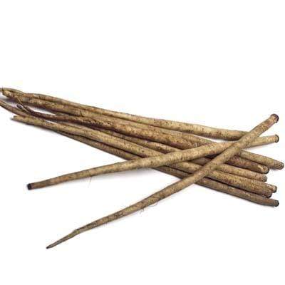 Gobo Root — Melissas Produce