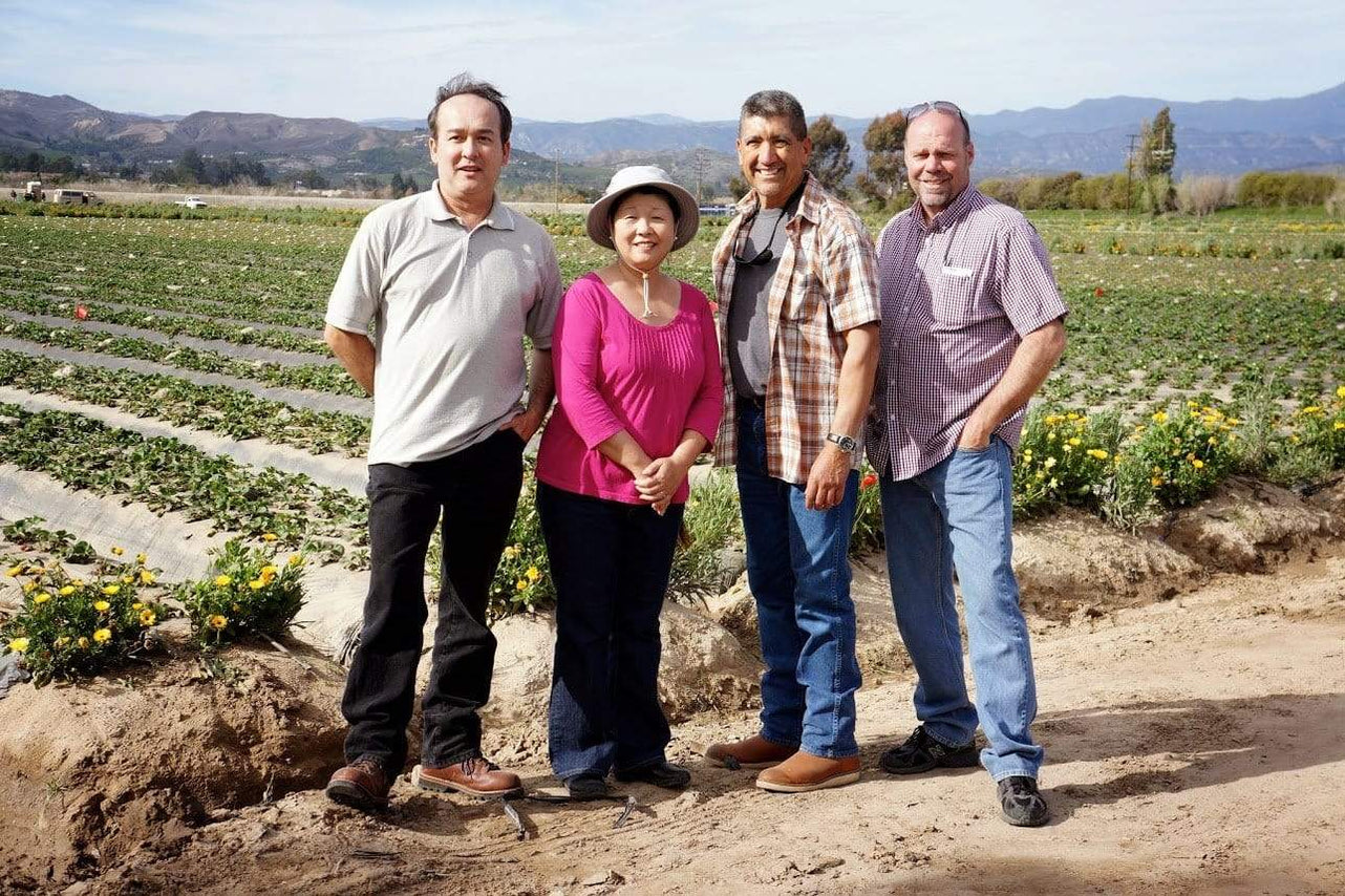 Harry's Berries Strawberries — Melissas Produce