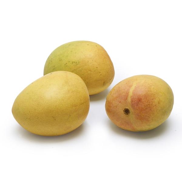 Indian Mangos — Melissas Produce