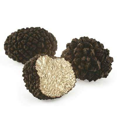 Italian Black Winter Truffles — Melissas Produce