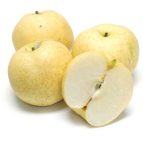 Japanese 20th Century Pears — Melissas Produce
