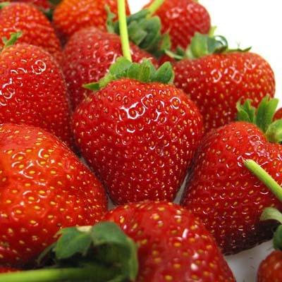 Berries — Melissas Produce