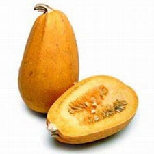 Orangetti Squash — Melissas Produce