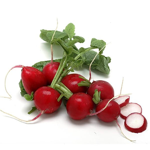 Radishes — Melissas Produce