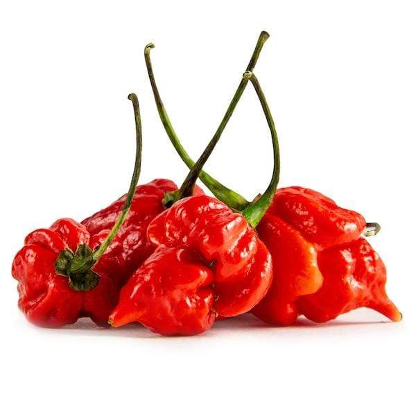 Trinidad Scorpion Pepper — Melissas Produce
