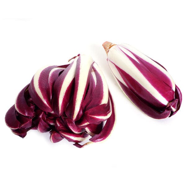 Tardivo Radicchio — Melissas Produce