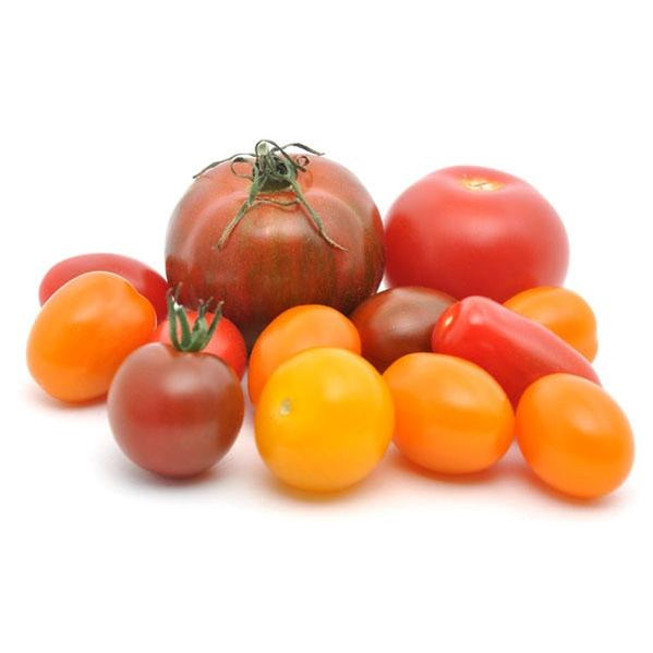 Tomatoes — Melissas Produce
