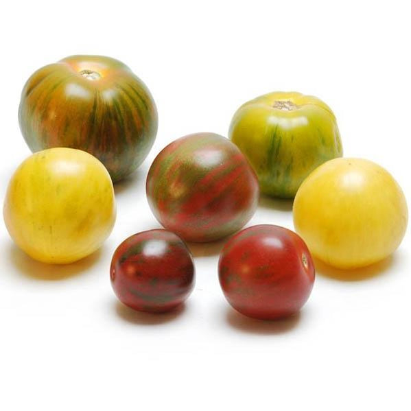 Tomatoes — Melissas Produce